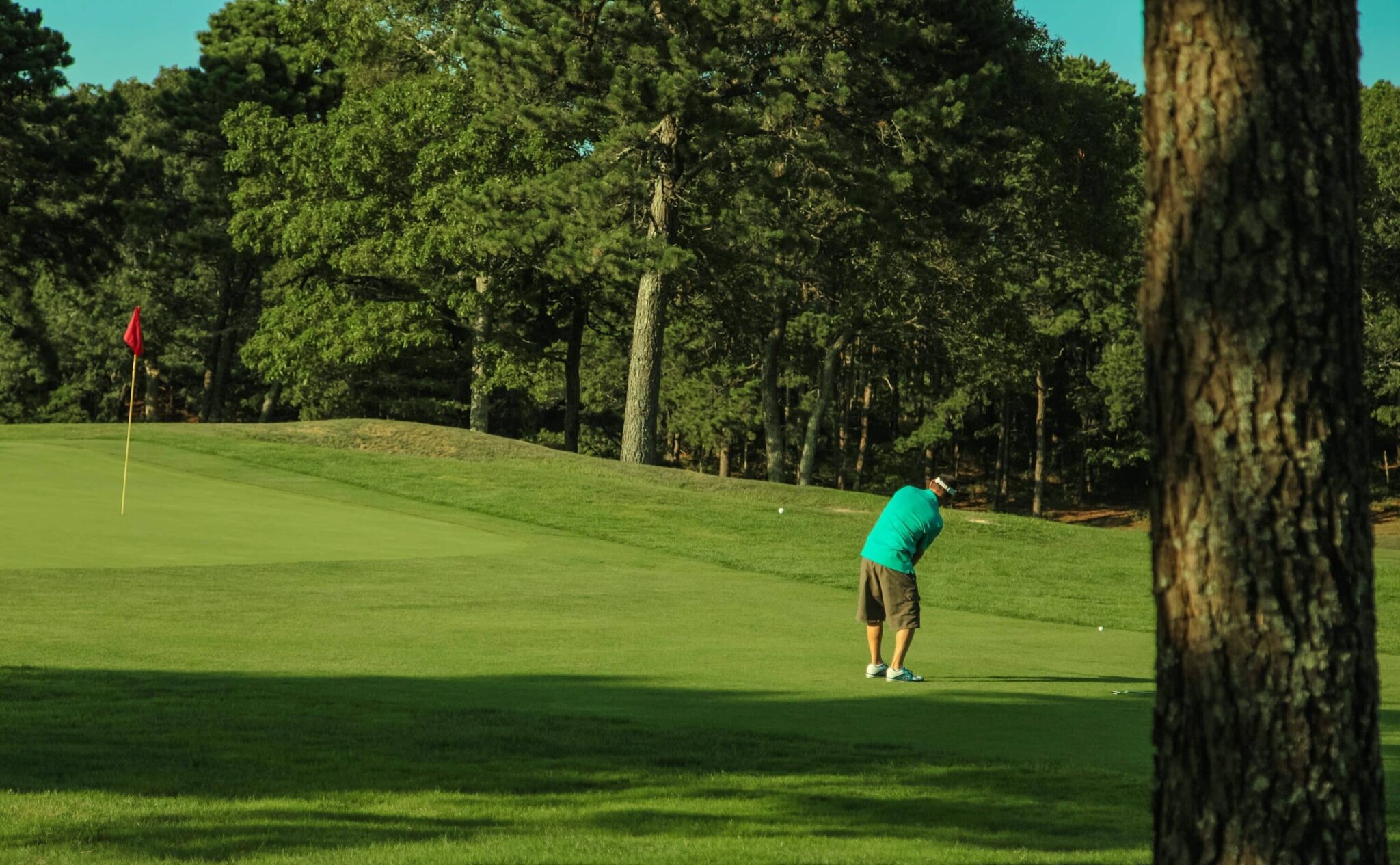 Membership - Dennis Golf Courses
